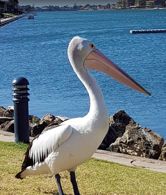 West Lakes, SA